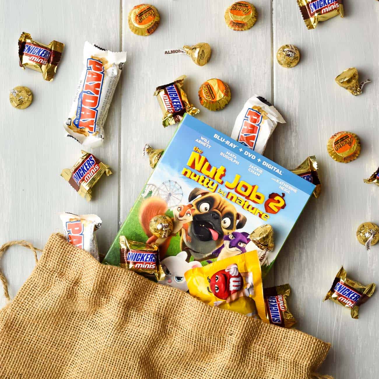 The Nut Job Movie Dvd Cover