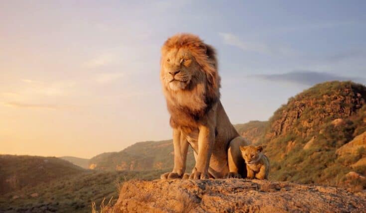 The Lion King 2019 Parents Guide: Is it Kid Friendly? Parents Should Know.. The Lion King 2019 Parents Guide: Is it Kid Friendly? Parents Should Know..