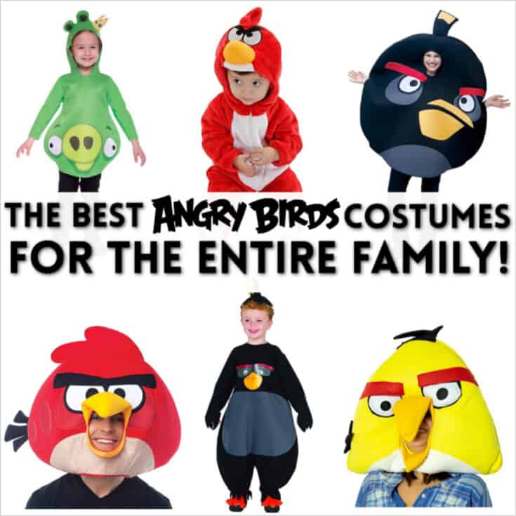 The Best Angry Birds Halloween Costumes in for the Whole Family