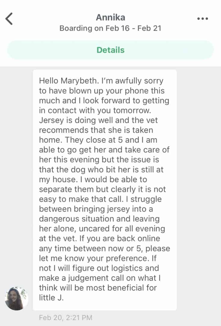 Is Rover Safe? My Dog was Paralyzed by a Rover.com Pet Sitter