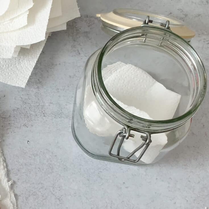 Homemade Hand Sanitizing Wipes: DIY with Only 2 Ingredients!