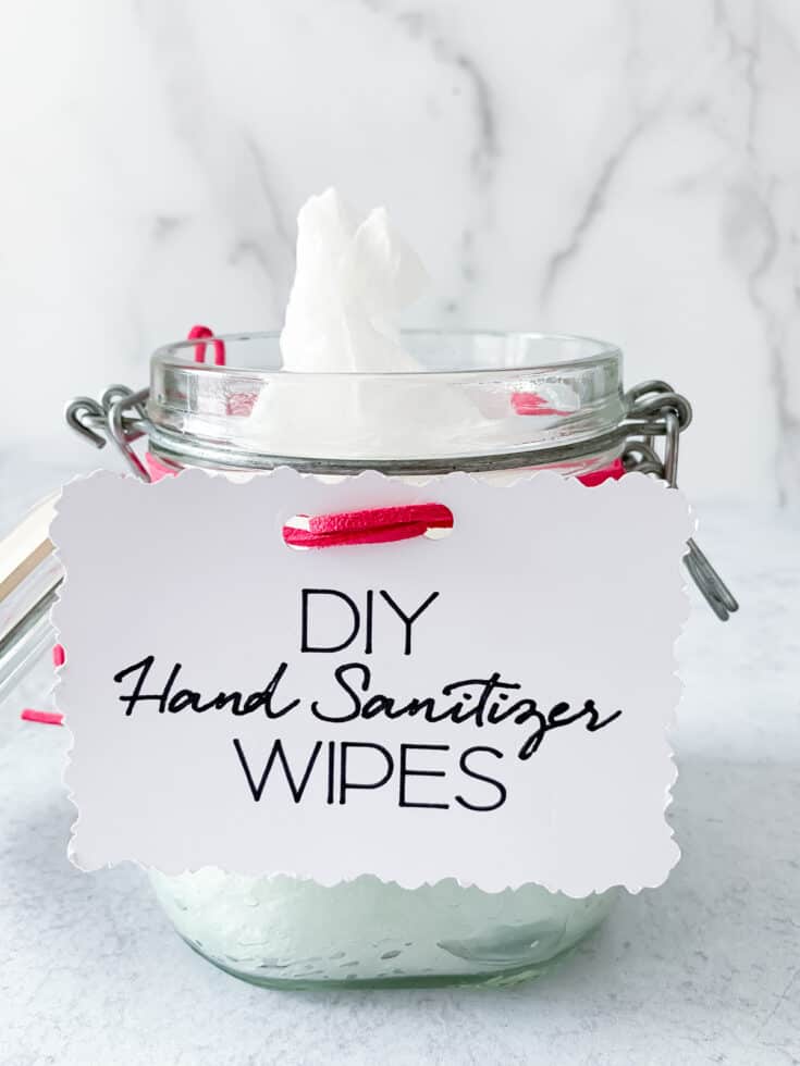 Homemade Hand Sanitizing Wipes: DIY with Only 2 Ingredients!