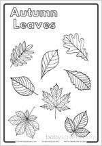 Free Fall Coloring Pages - Download 13 Fun Printables (PDF)